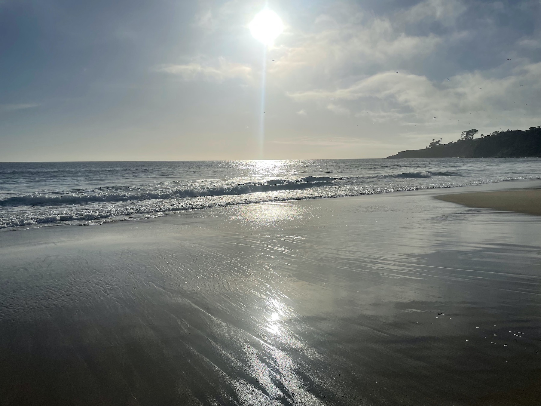 Salt Creek Beach: Awakening Perspective - Deven Pravin Shah